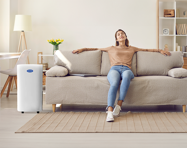 Why Carrier 30L Dehumidifier is a Must-Have in Your Home l ConcepStore